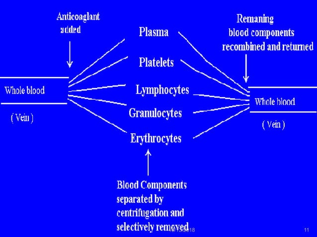 Apheresis | PPTX | Blood Disorders | Diseases and Conditions
