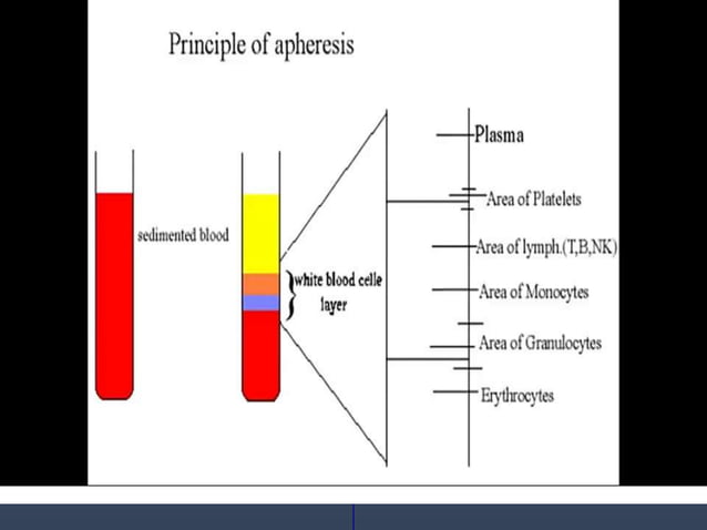 Apherisis | PPTX | Blood Disorders | Diseases and Conditions