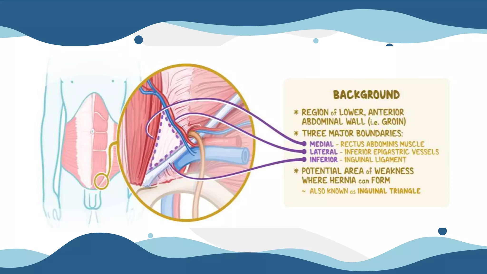 Appendicitis and Hernia.pptx