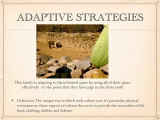 Aphg presentation | KEY