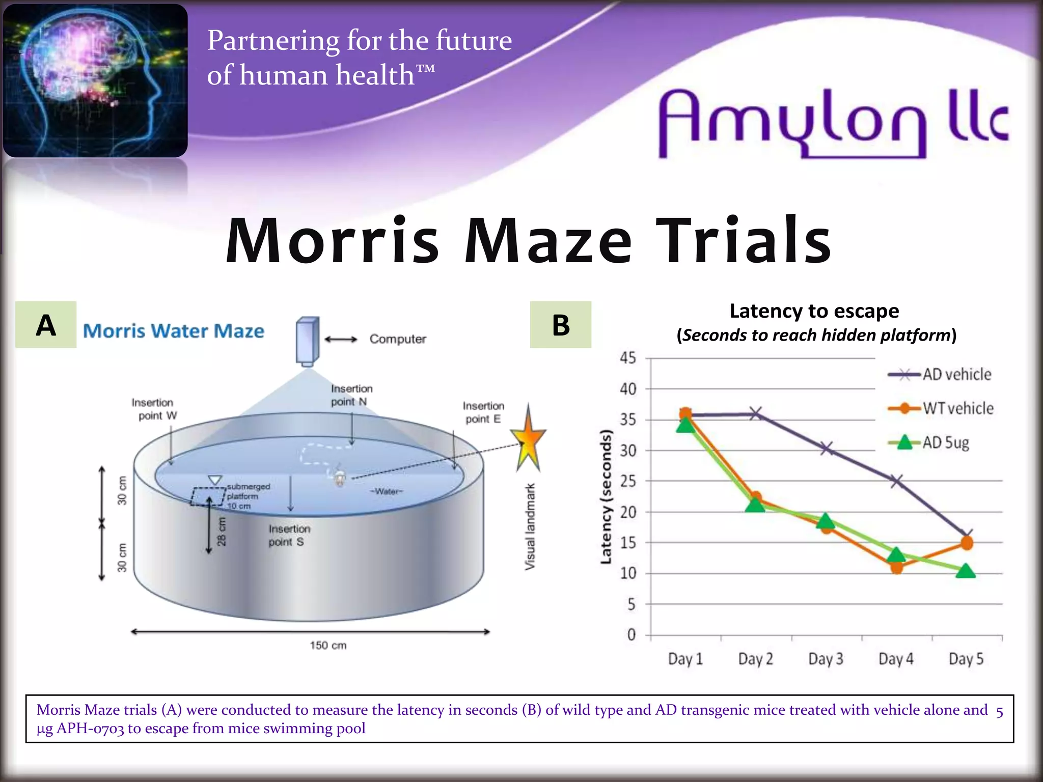 Aphios amylon ncs_presentation_111213 | PPT
