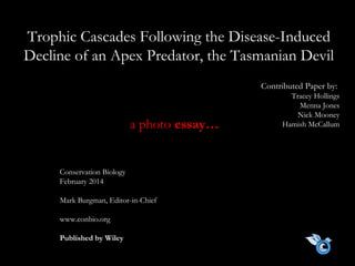 A Photo Essay trophic cascades following the disease-induced decline of ...
