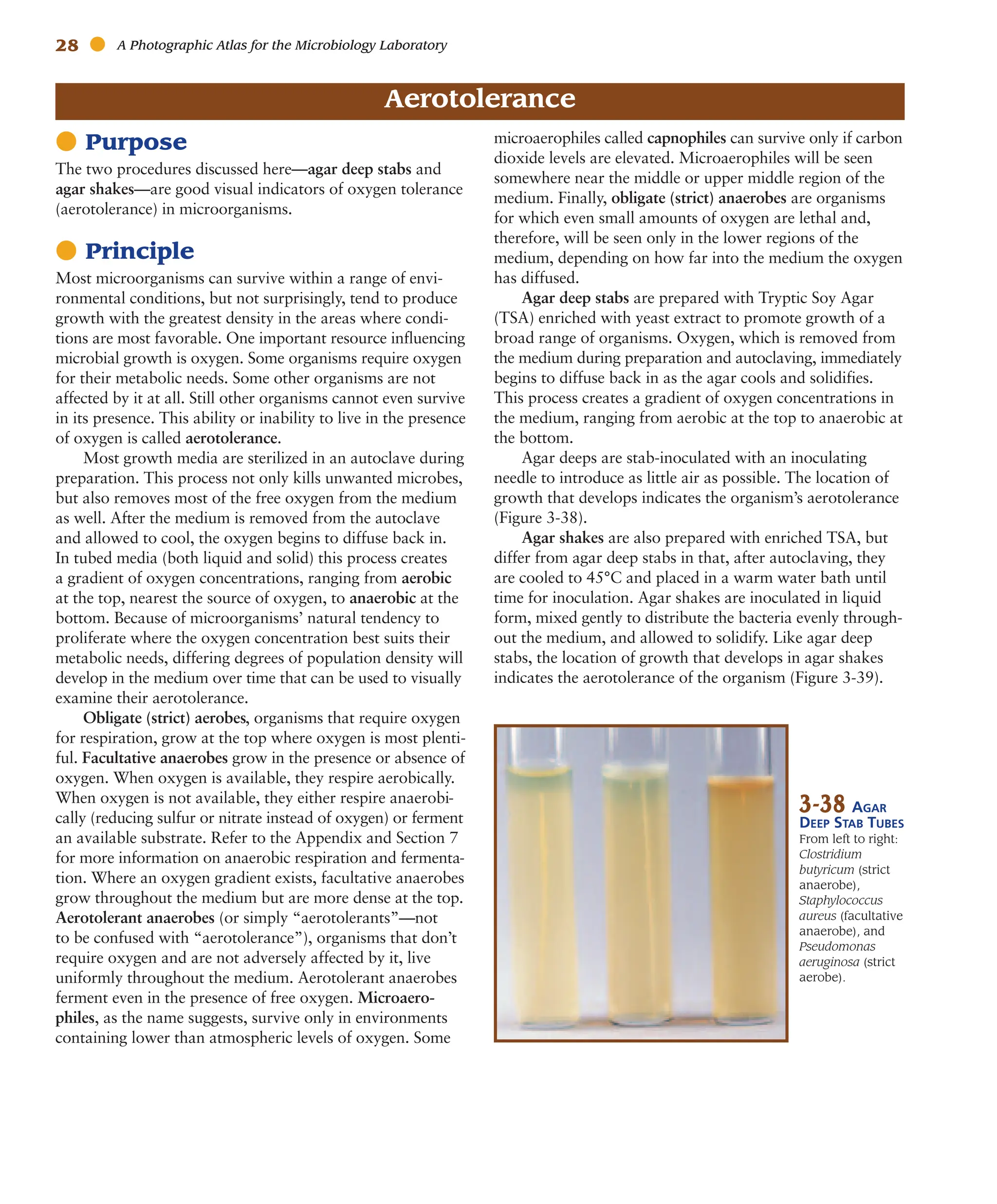 Atlas for the Microbiology Laboratory 4th ed (2011).pdf