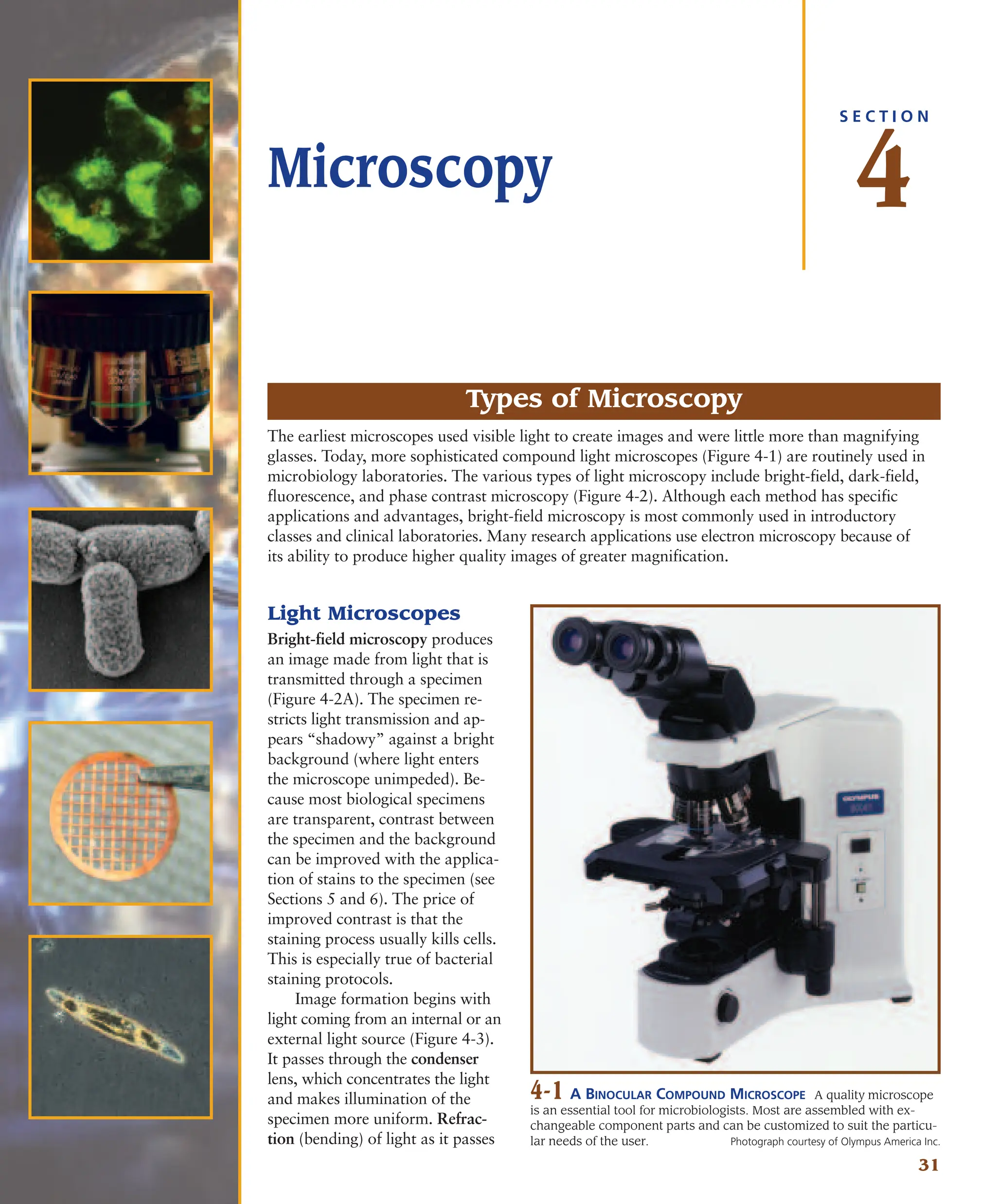 Atlas for the Microbiology Laboratory 4th ed (2011).pdf