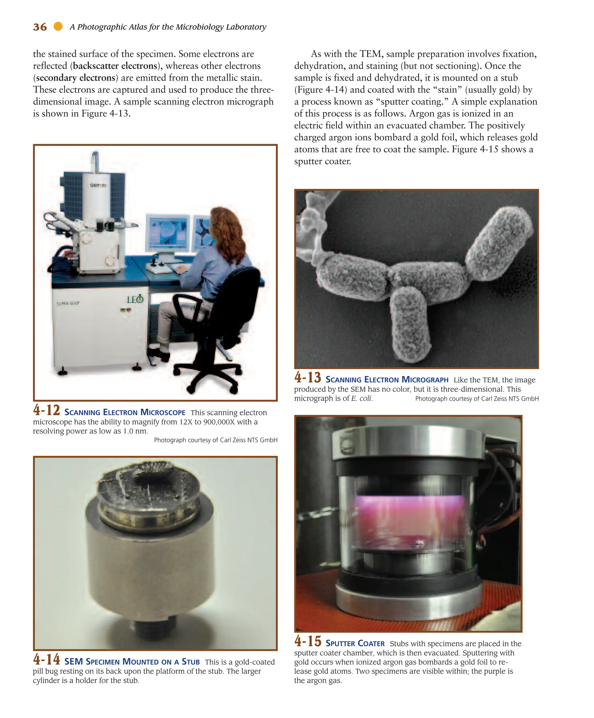 Atlas for the Microbiology Laboratory 4th ed (2011).pdf