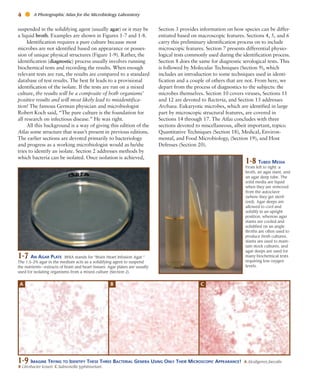 Atlas for the Microbiology Laboratory 4th ed (2011).pdf