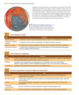 Atlas for the Microbiology Laboratory 4th ed (2011).pdf