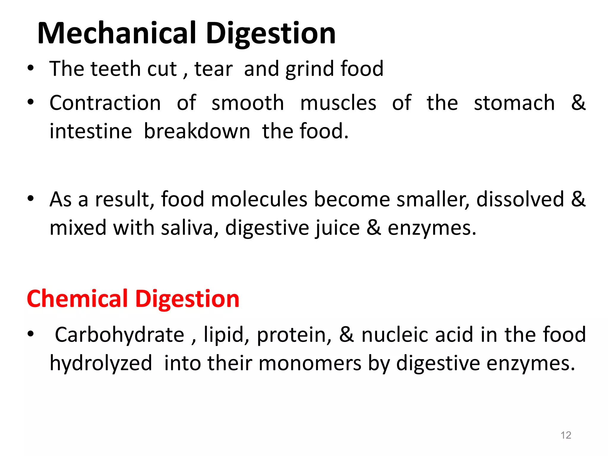 A PHYSIOLOGY of Digestive System.ppt