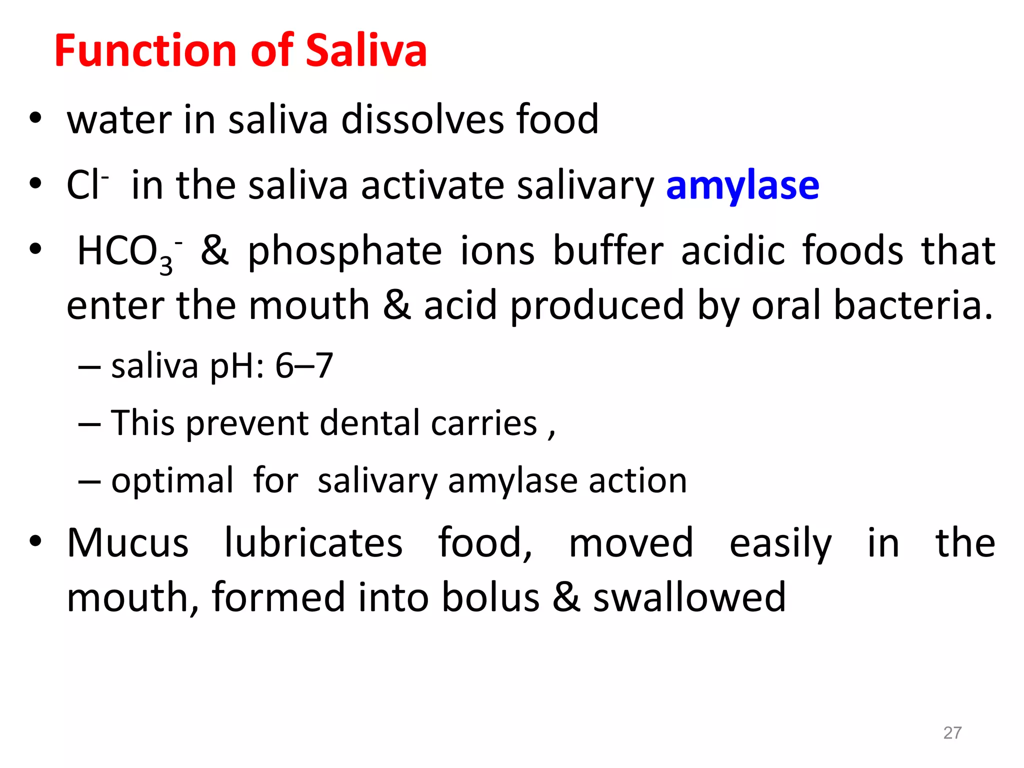 A PHYSIOLOGY of Digestive System.ppt