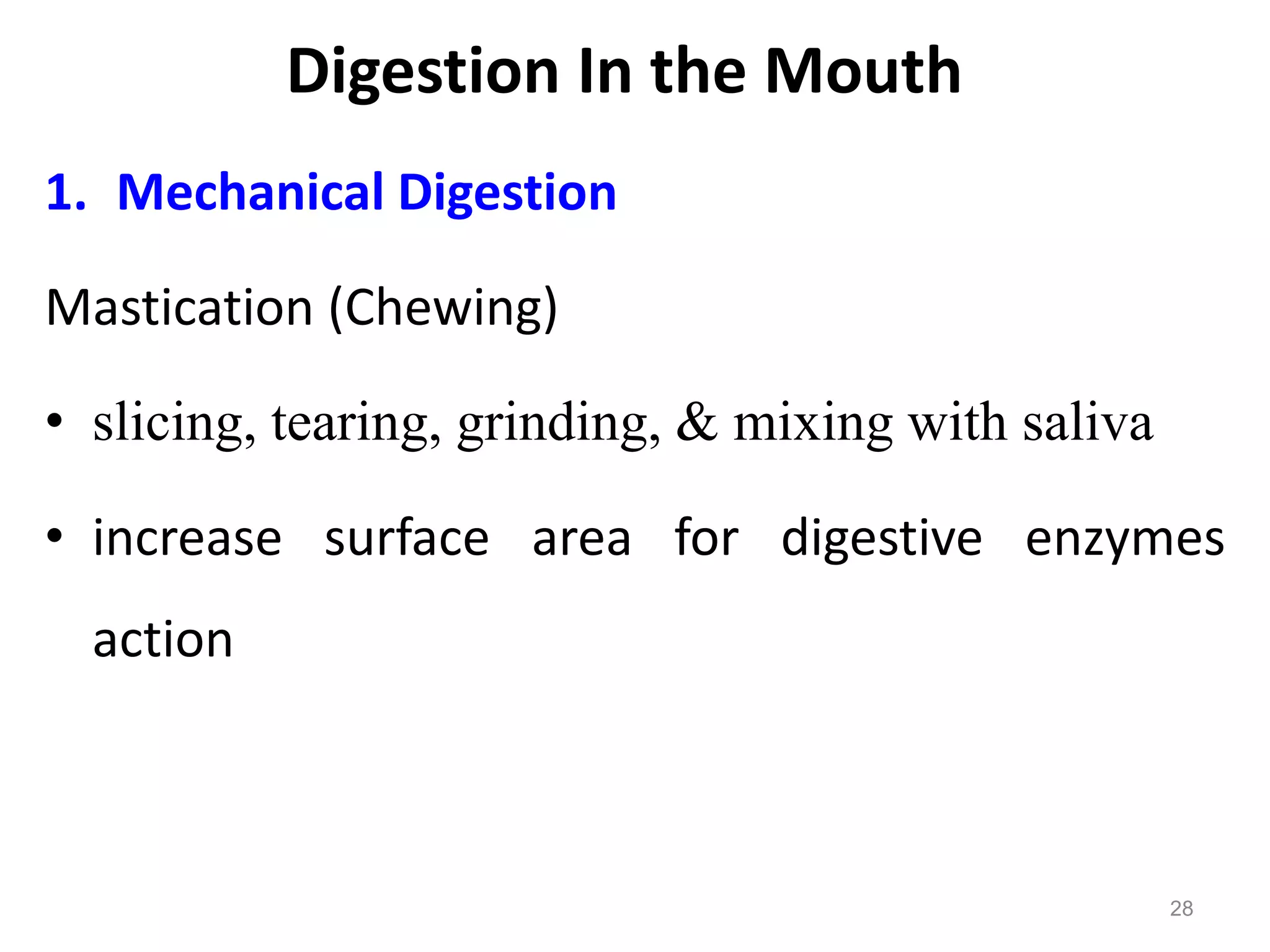 A PHYSIOLOGY of Digestive System.ppt