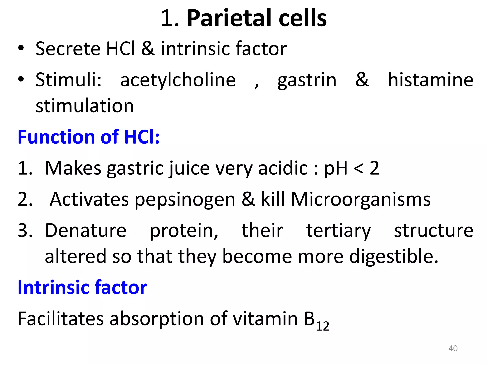A PHYSIOLOGY of Digestive System.ppt