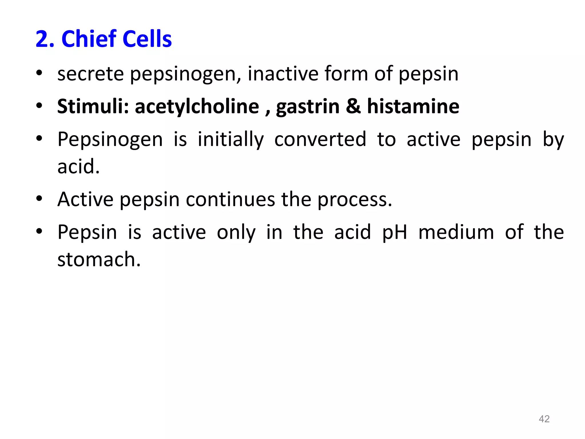 A PHYSIOLOGY of Digestive System.ppt