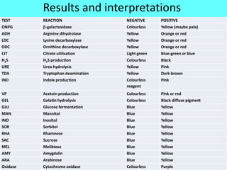 Analytical Profile Index (API) & Automated Machines | PPTX