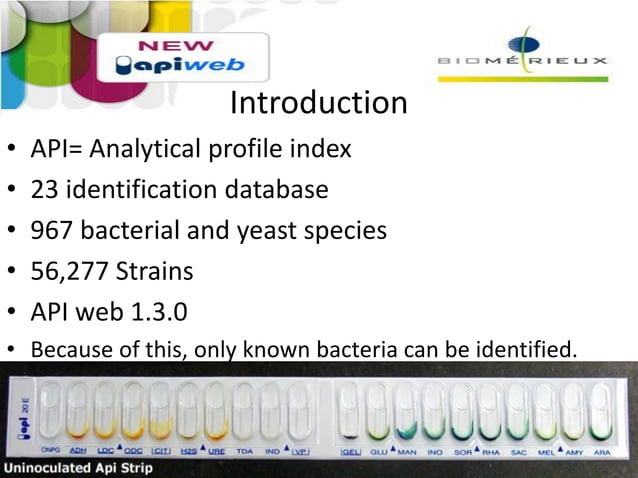 Api 20 e | PDF | Operating Systems | Computer Software and Applications