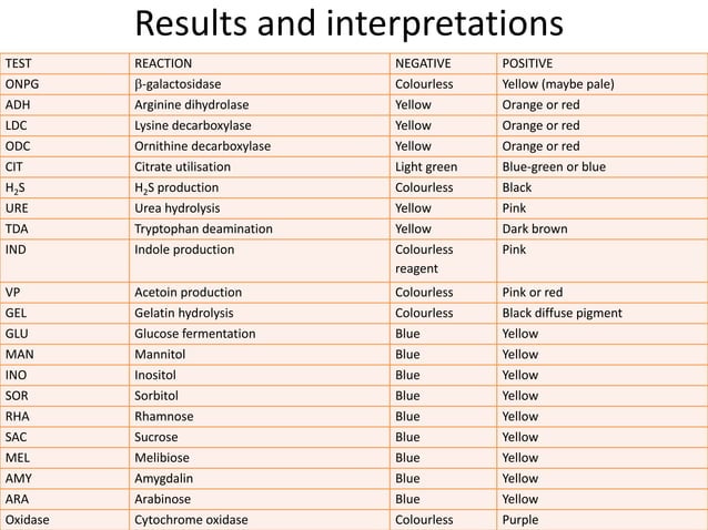 Api 20 e | PDF | Operating Systems | Computer Software and Applications