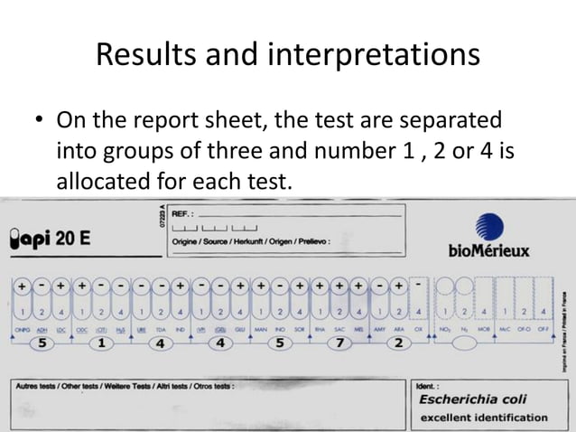 Api 20 e | PDF | Operating Systems | Computer Software and Applications
