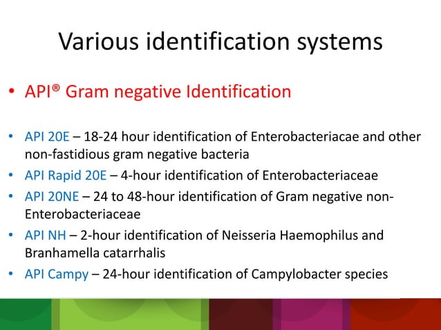 Api 20 e | PDF | Operating Systems | Computer Software and Applications