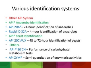 Api 20 e | PDF