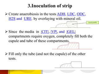 Api Identification System Tda
