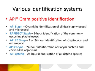 Api Identification System Tda