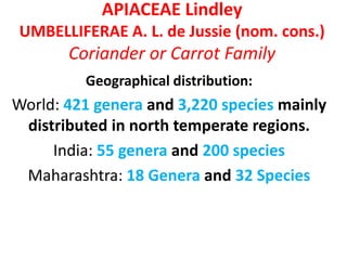Apiaceae | PPTX
