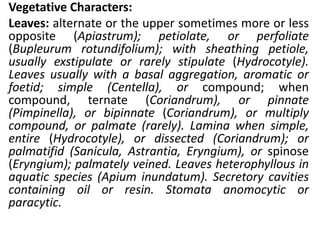 Apiaceae | PPTX