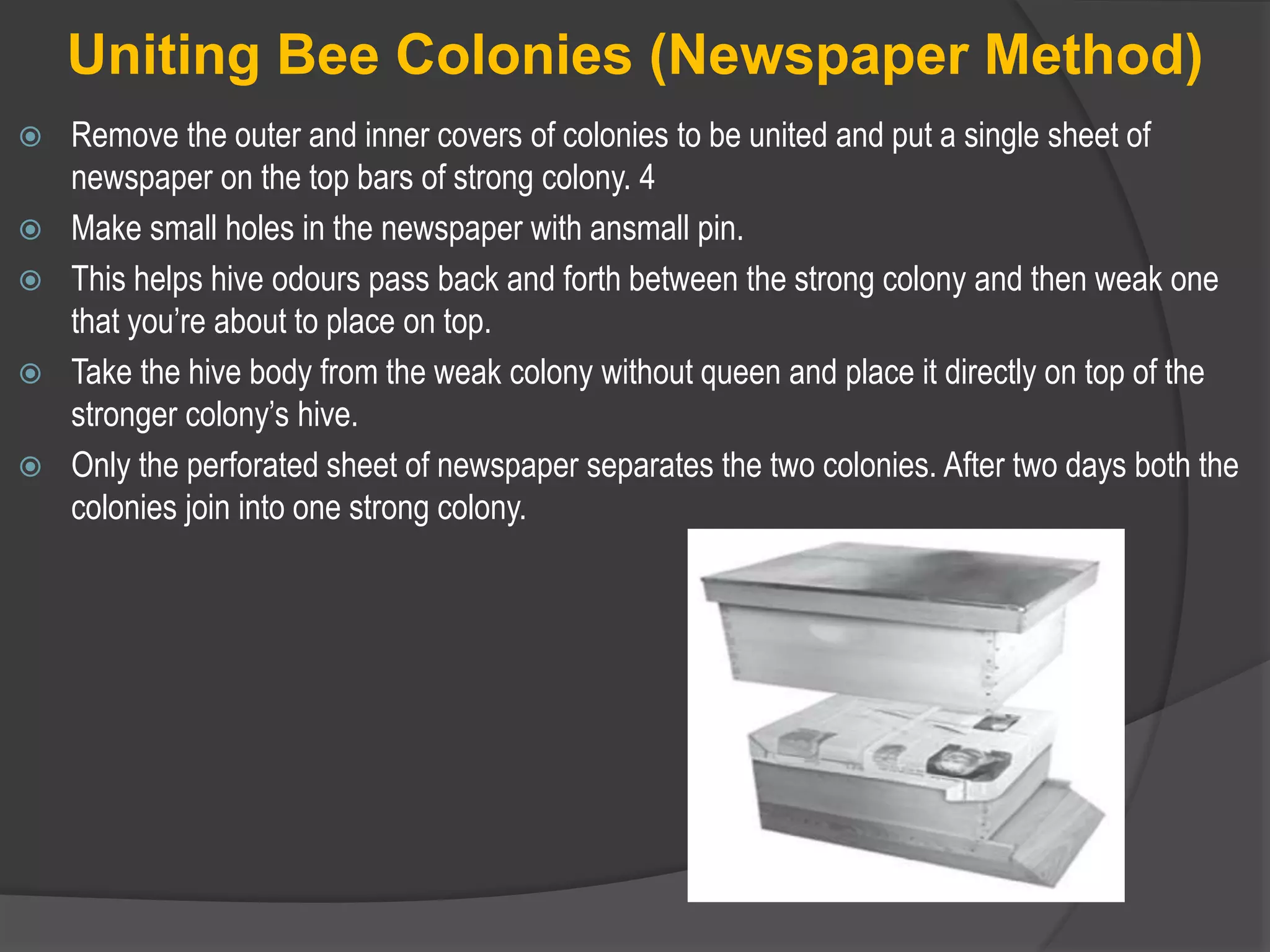 APIARY MANAGEMENT.pptx