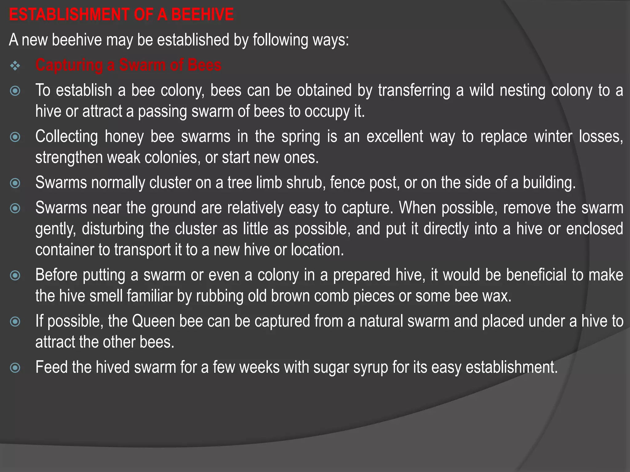 APIARY MANAGEMENT.pptx