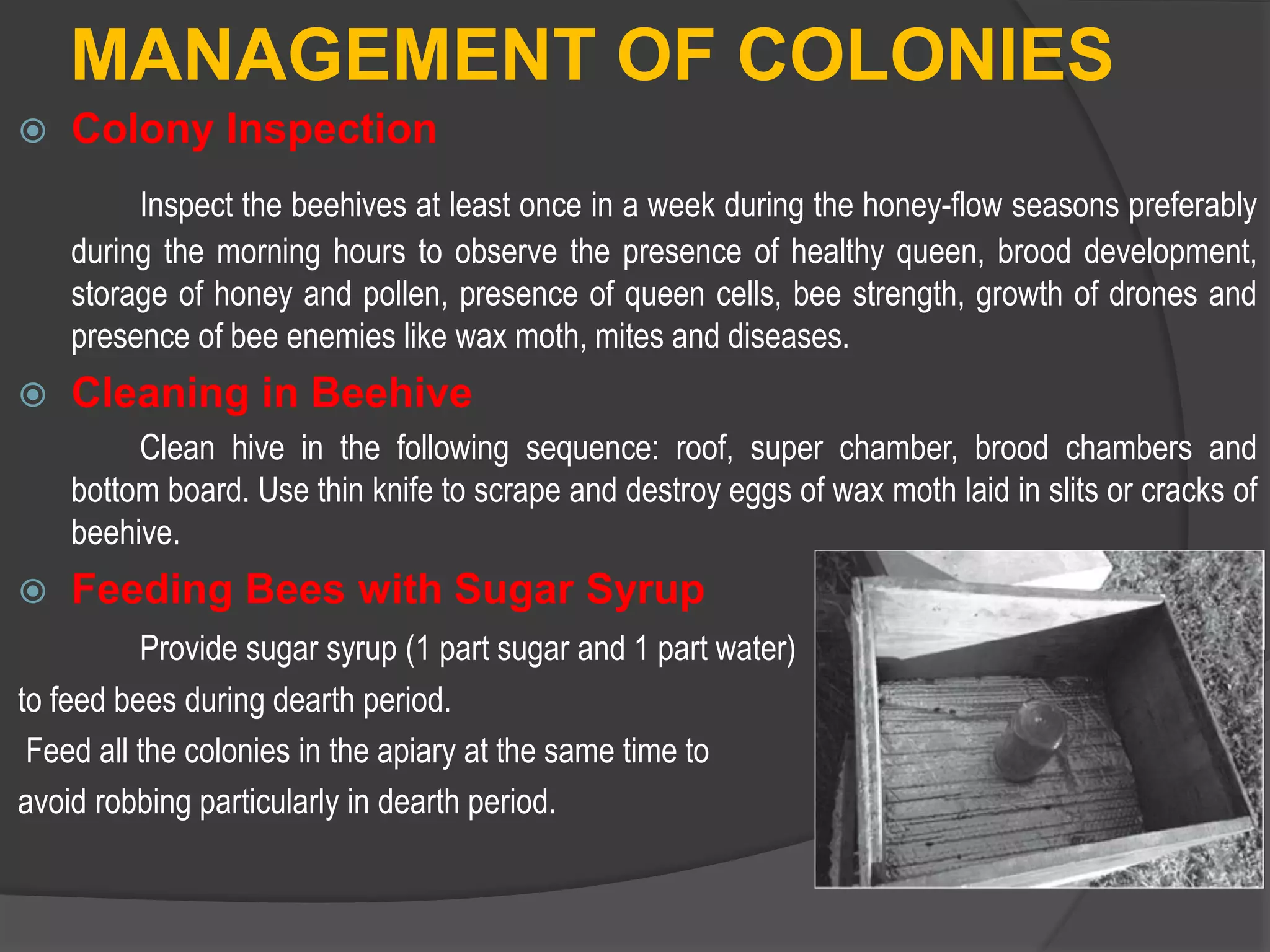 APIARY MANAGEMENT.pptx