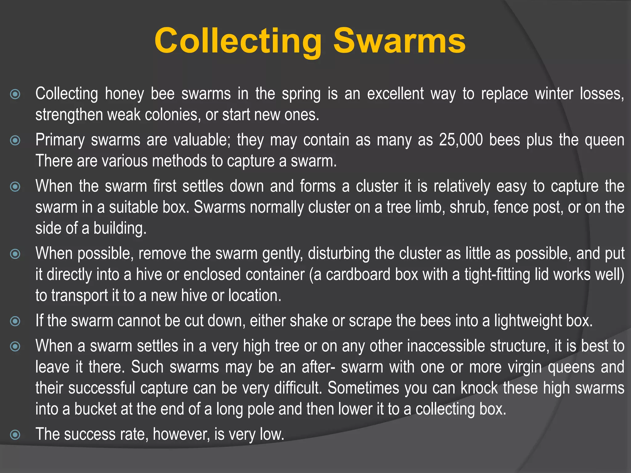 APIARY MANAGEMENT.pptx