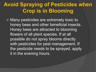 APIARY MANAGEMENT.pptx