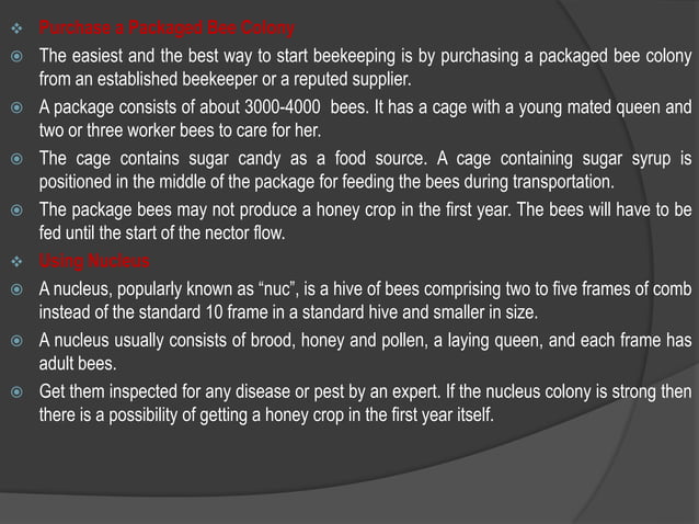 APIARY MANAGEMENT.pptx | Beekeeping | Hobbies & Interests