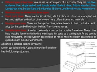 APIARY MANAGEMENT.pptx
