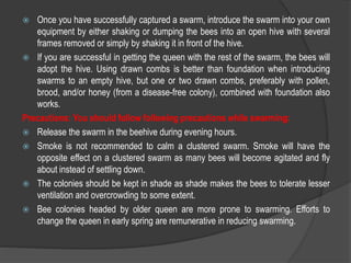 APIARY MANAGEMENT.pptx