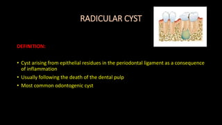 Apical lesions in dentistry | PPTX