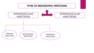 APICAL PERIODONTITIS AND ROOT CANAL TREATMENT.pptx
