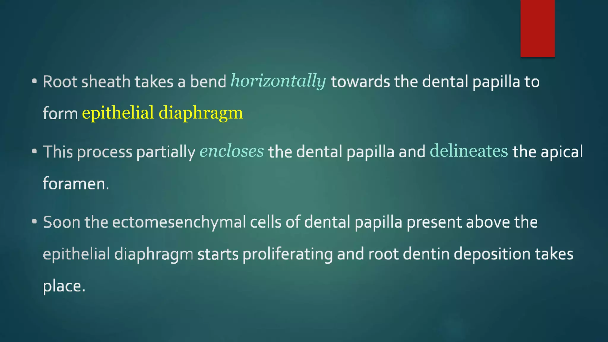 APICAL THIRD PPT.pptx