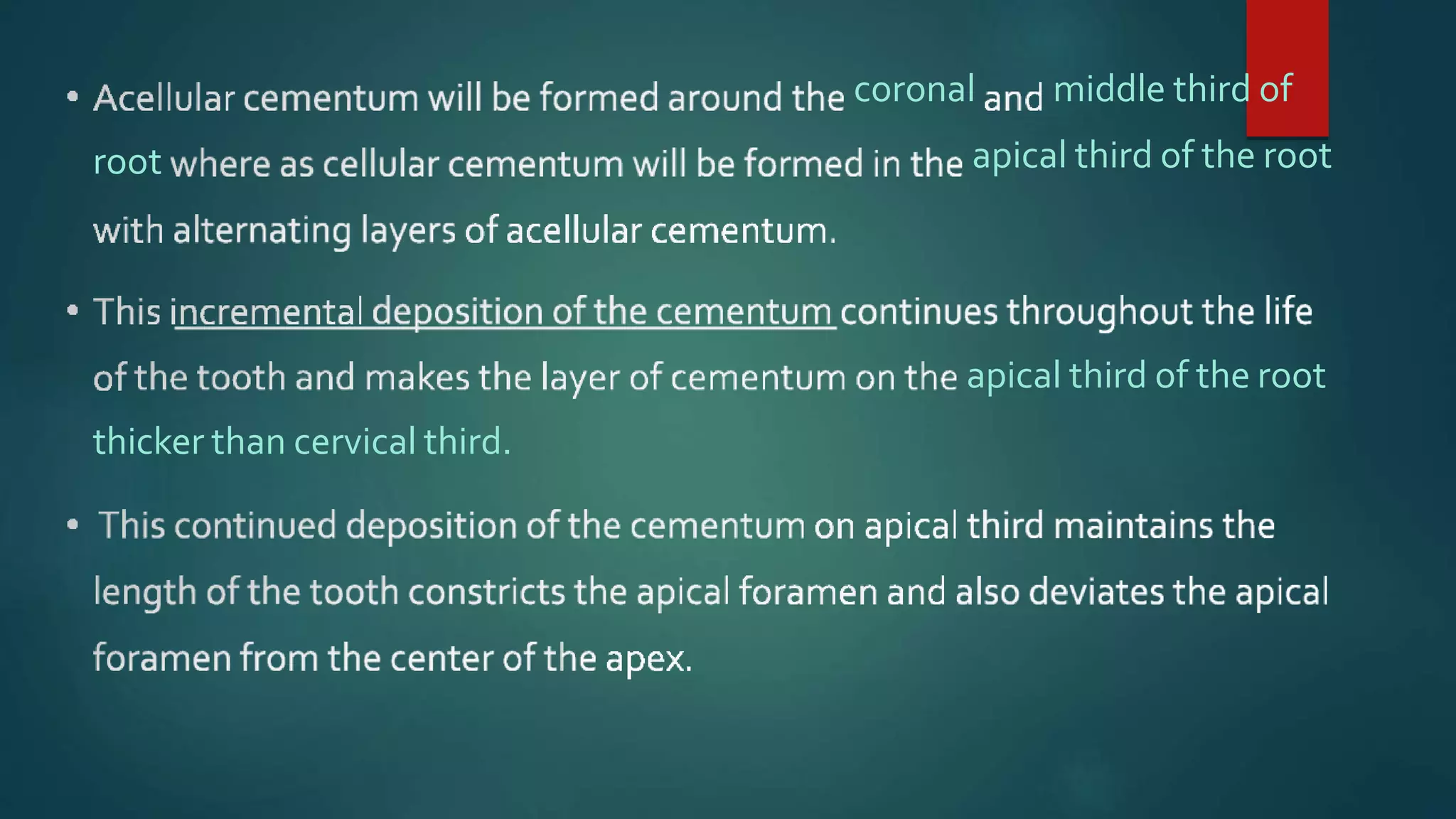APICAL THIRD PPT.pptx