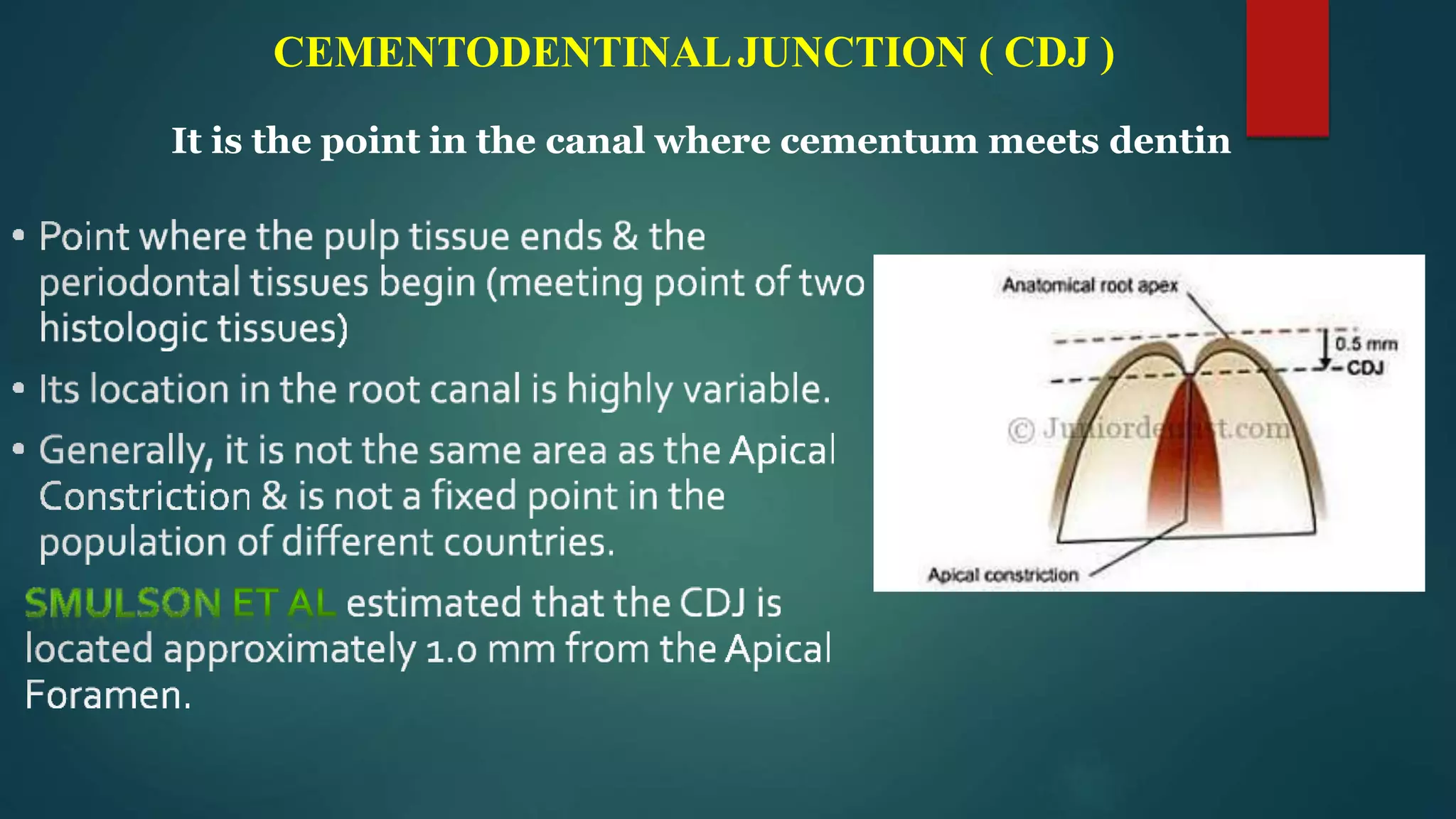 APICAL THIRD PPT.pptx