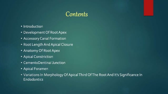 APICAL THIRD PPT.pptx