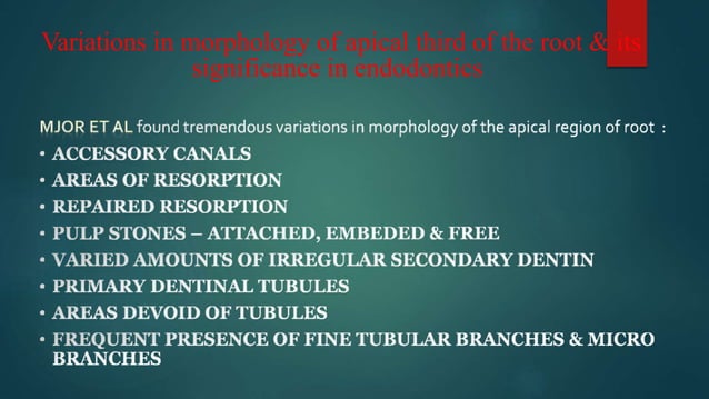 APICAL THIRD PPT.pptx