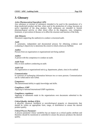 Apic auditing guide_201008 | PDF