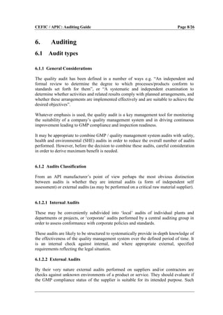 Apic auditing guide_201008 | PDF