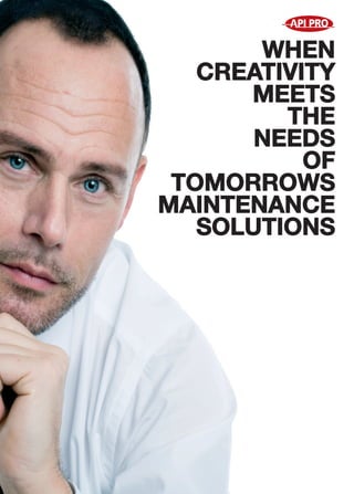 Api company brochure | PDF