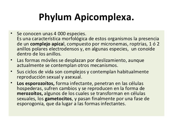 Apicomplexa