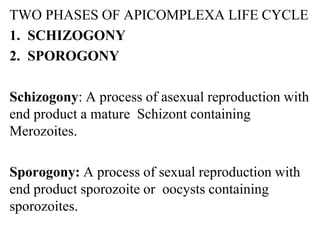 Apicomplexa PART 1 PDFPP 2023 MBChB.pdf