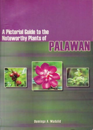 A pictorial guide to the noteworthy plants of palawan | PDF