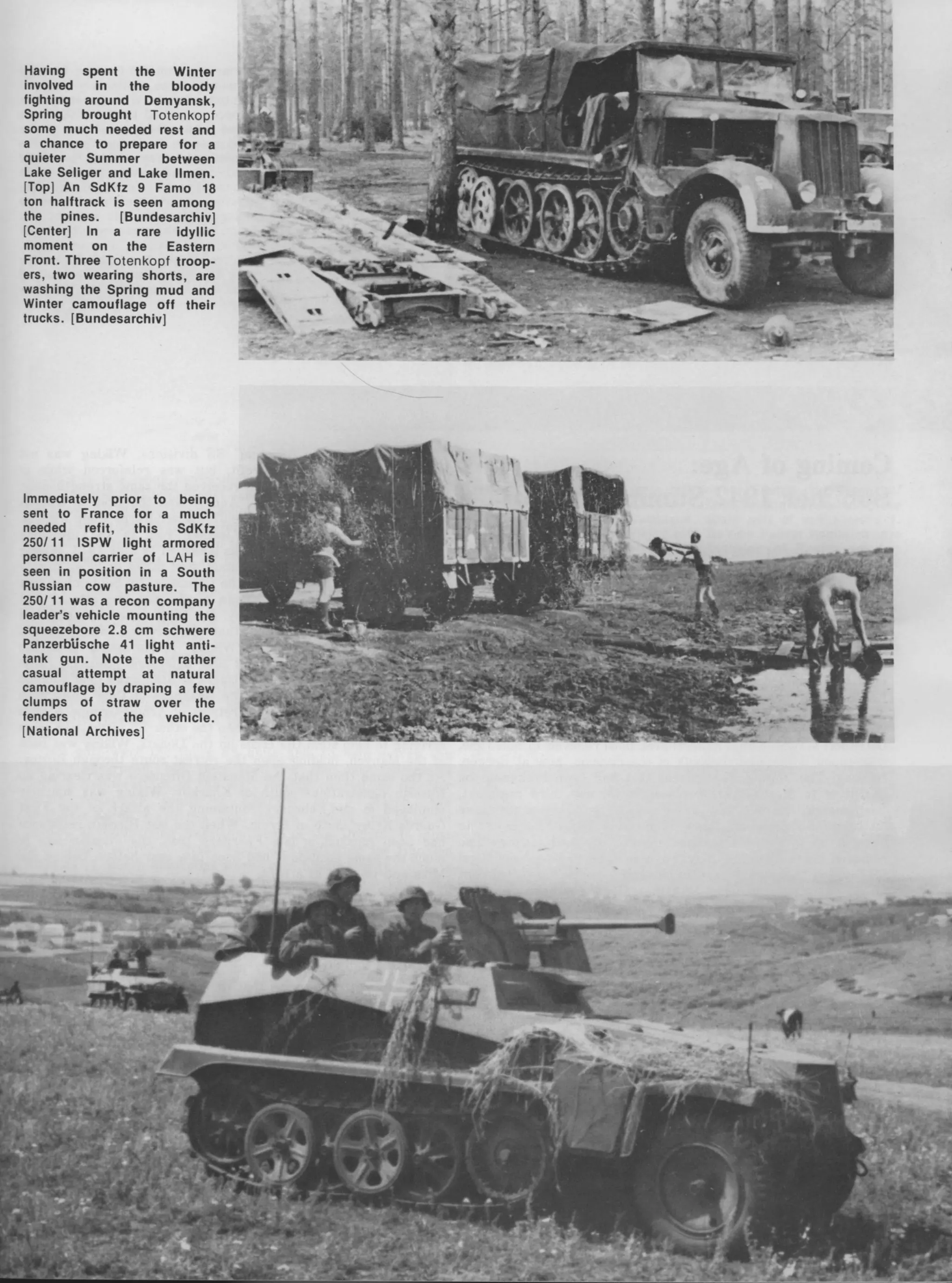 A Pictorial history of the formations of the Waffen SS | PDF