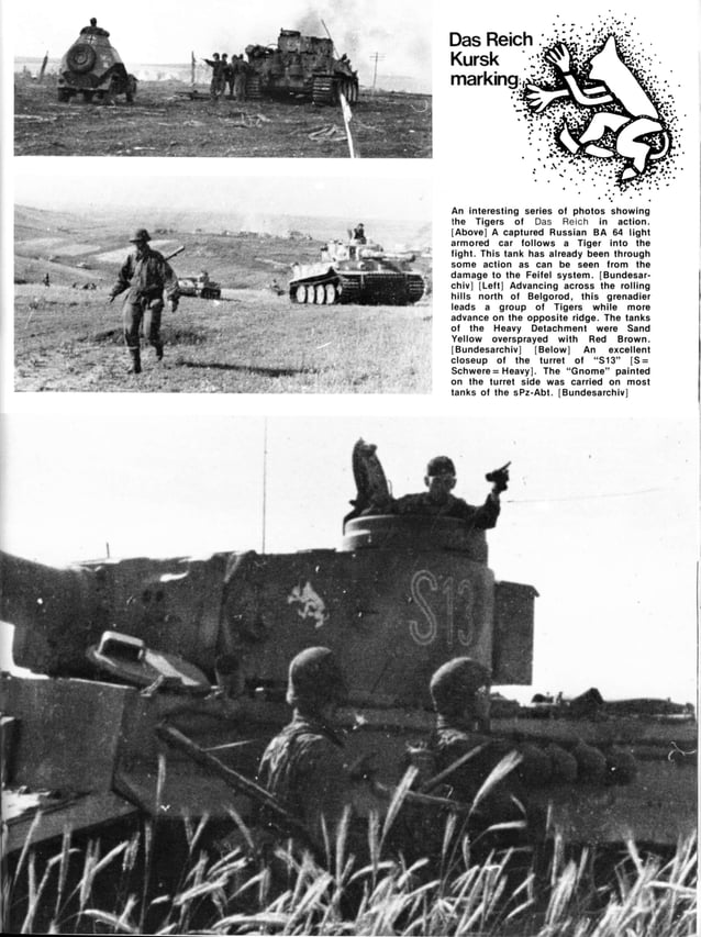 A Pictorial history of the formations of the Waffen SS | PDF