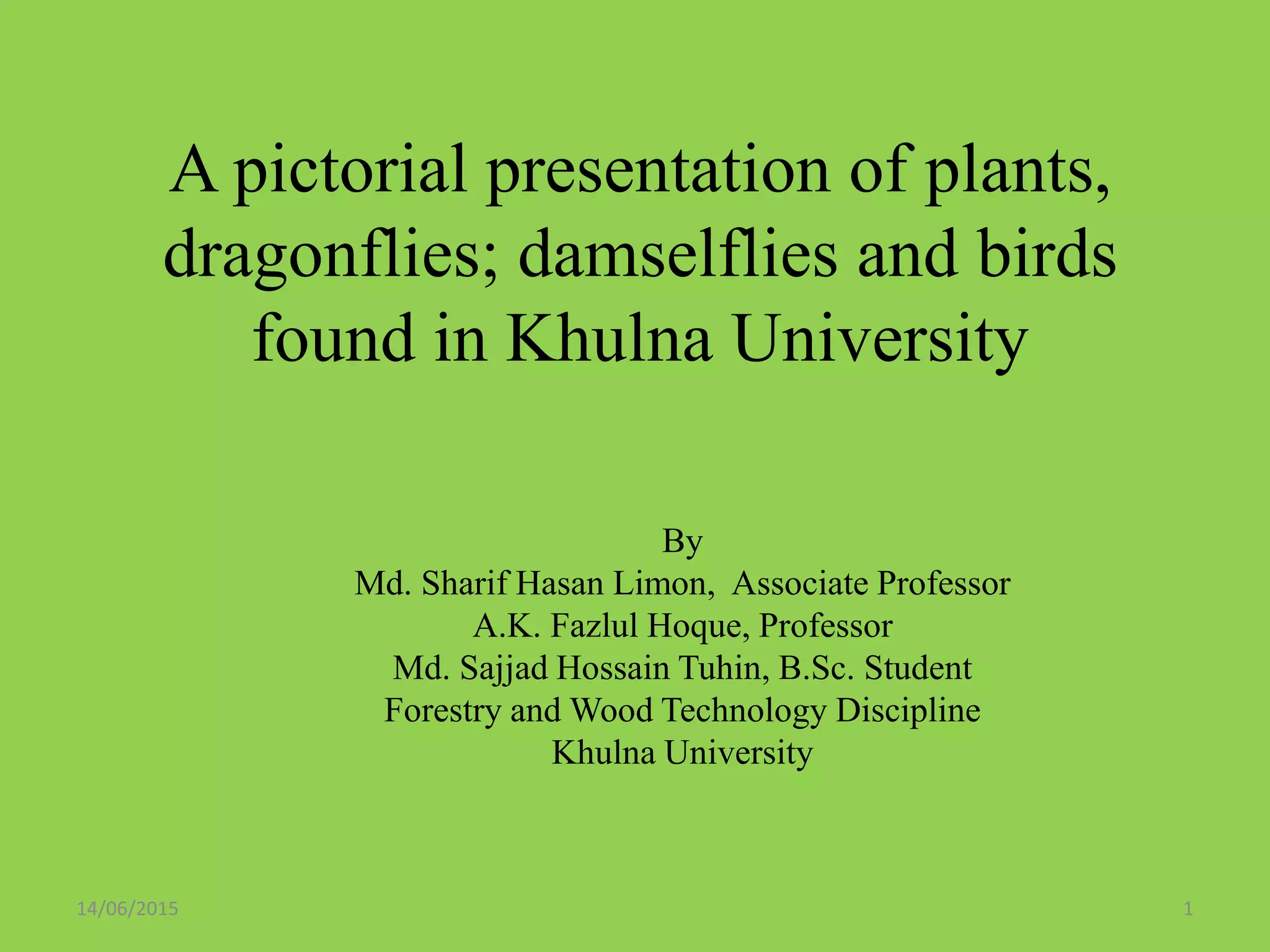 A pictorial presentation of plants, dragonflies; damselflies and birds found in Khulna ...